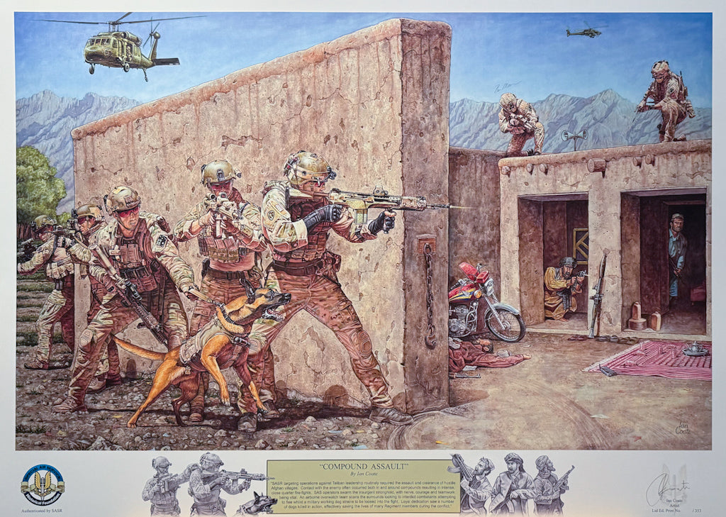'Compound Assault' Numbered Print – NINESIXFOUR